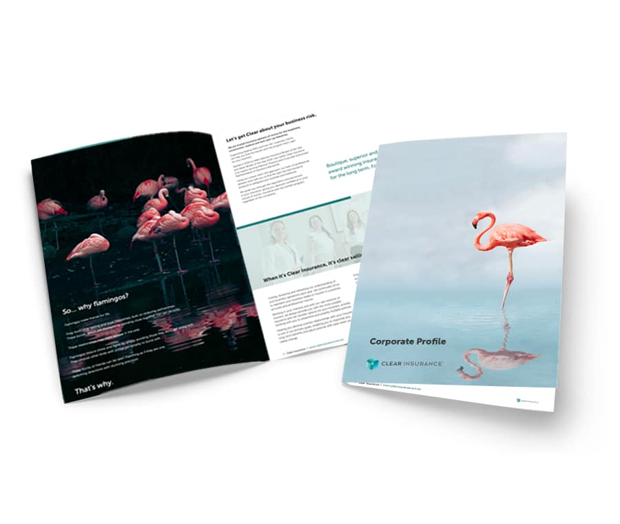 Clear Insurance - WhiteSpace Marketing